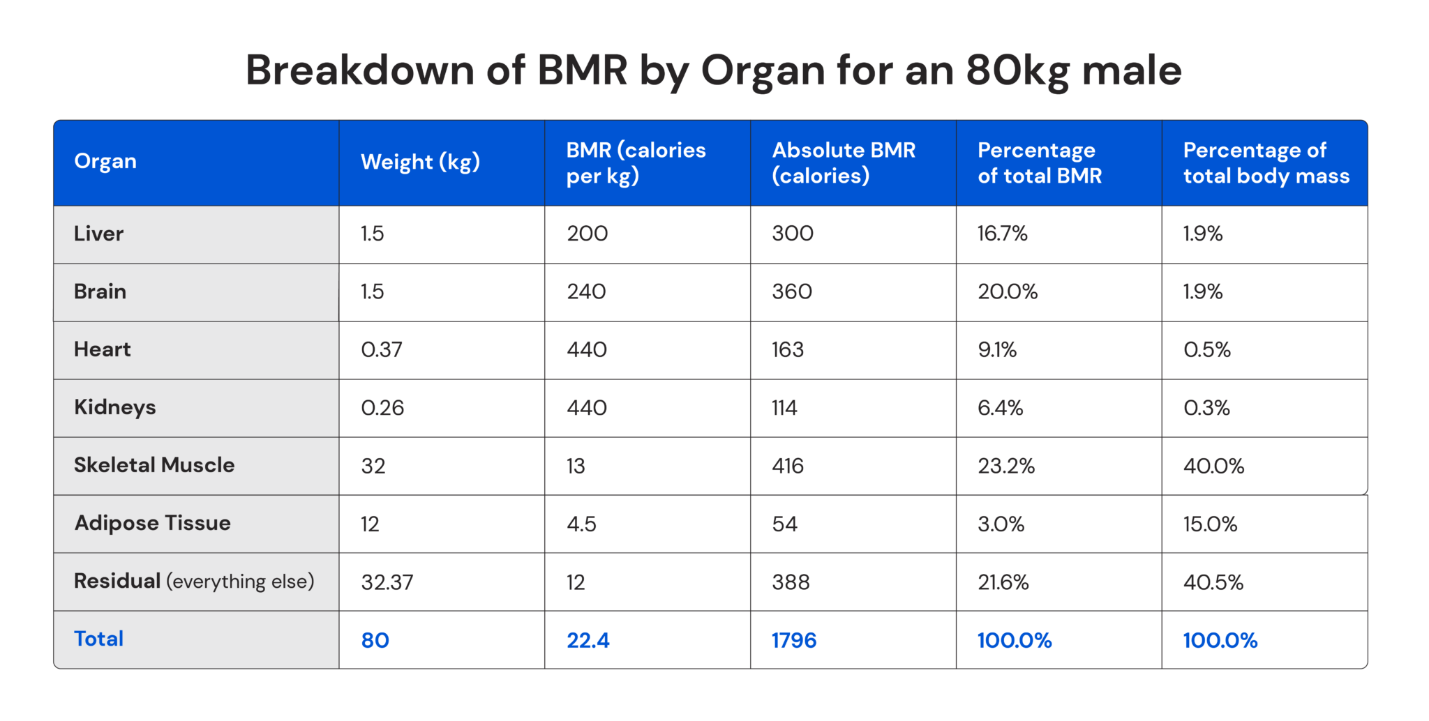 What Determines Your Basal Metabolic Rate? - MacroFactor