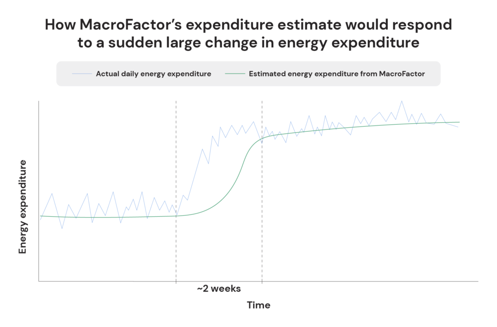The Drawbacks of Using Wearable Devices to Inform Nutrition Targets - MacroFactor