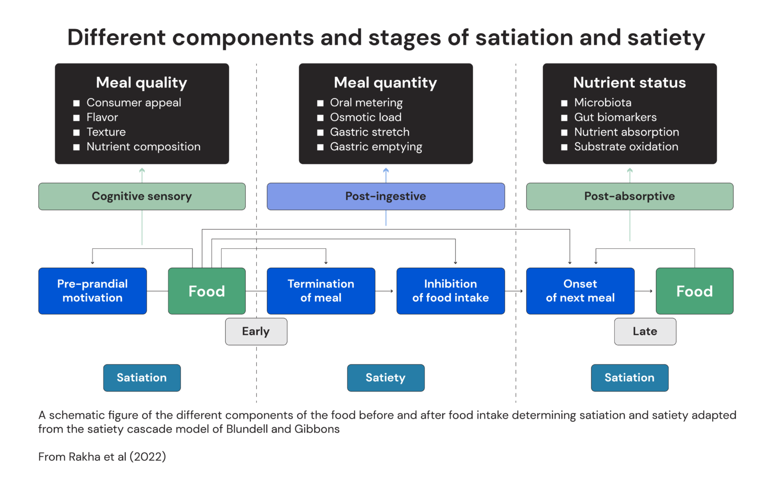 Five Key Tips for Satiety and Satiation - MacroFactor