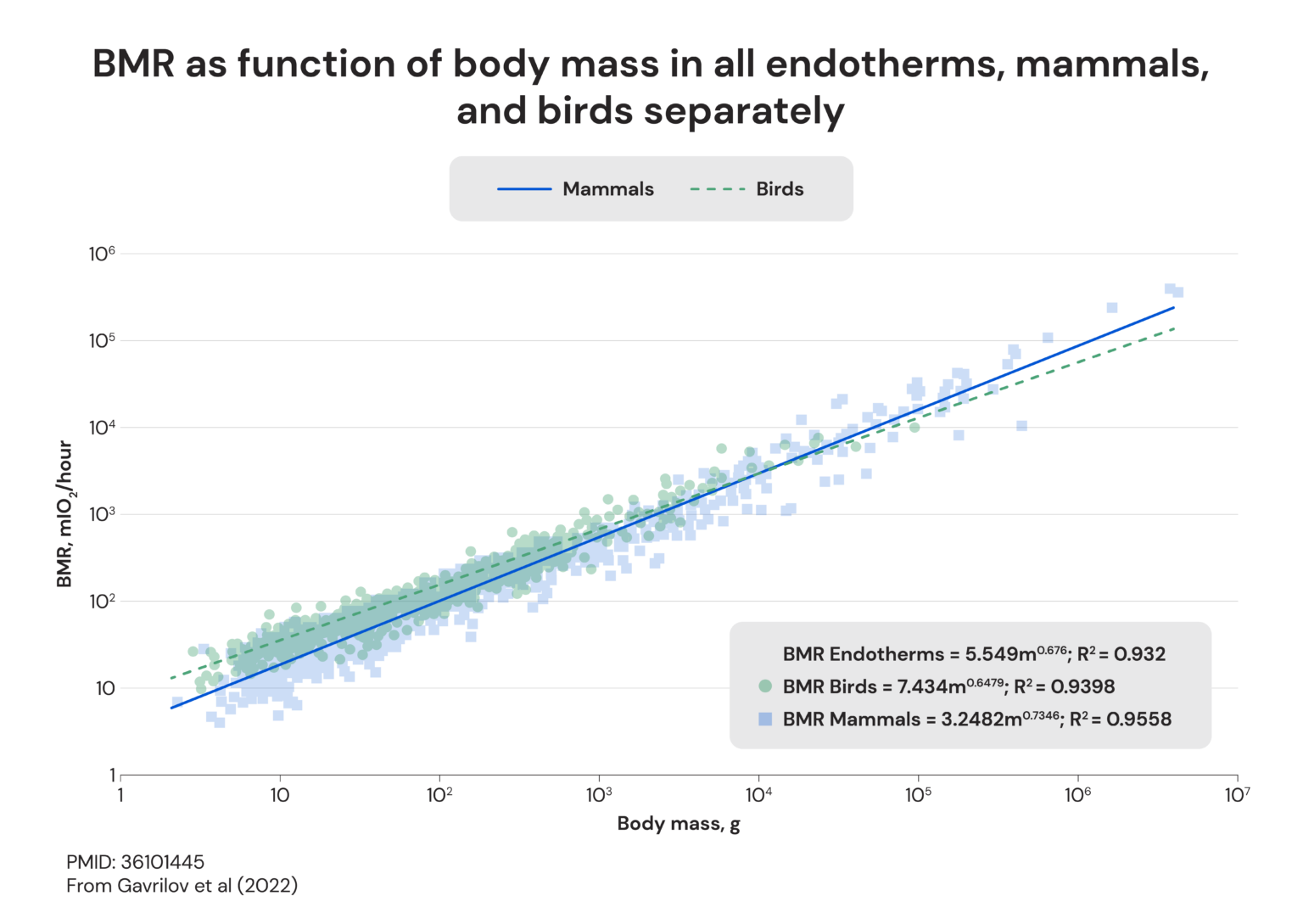 What are the Best Basal Metabolic Rate Equations? - MacroFactor