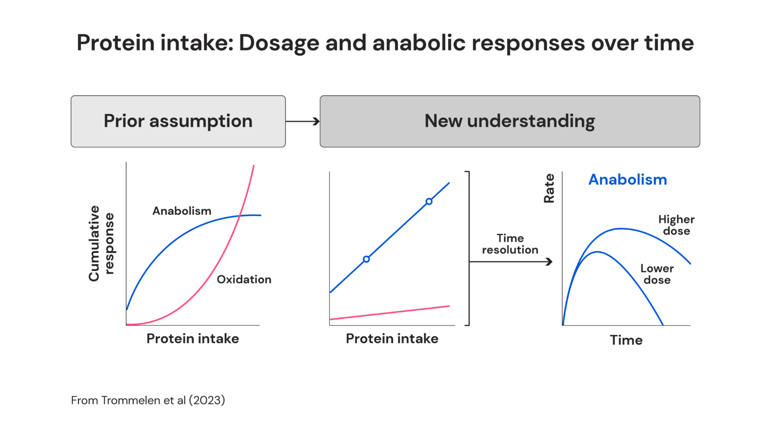 Is There a Max Amount of Protein Intake Per Meal? Per Day? - MacroFactor