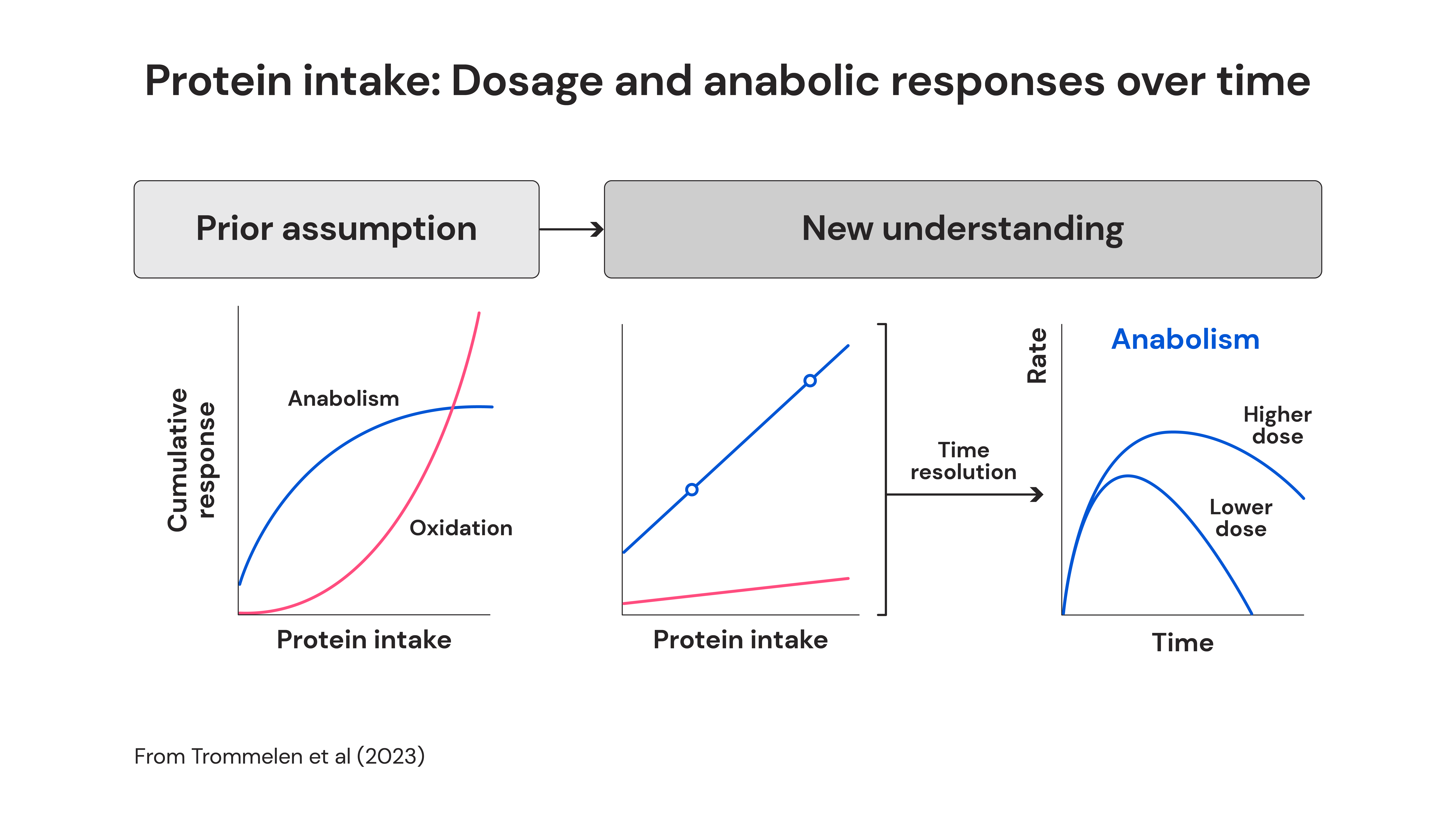 Do We Need to Worry About Protein Timing? - MacroFactor