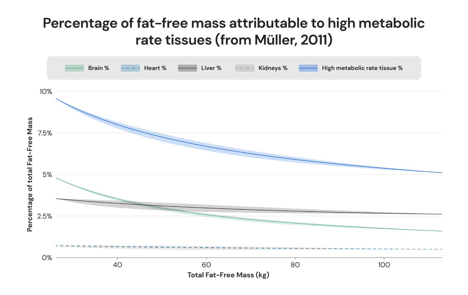 What Determines Your Basal Metabolic Rate? - MacroFactor