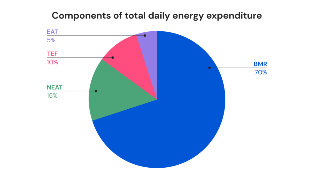 Counting Macros: How to Log Your Food and Track Your Calories - MacroFactor