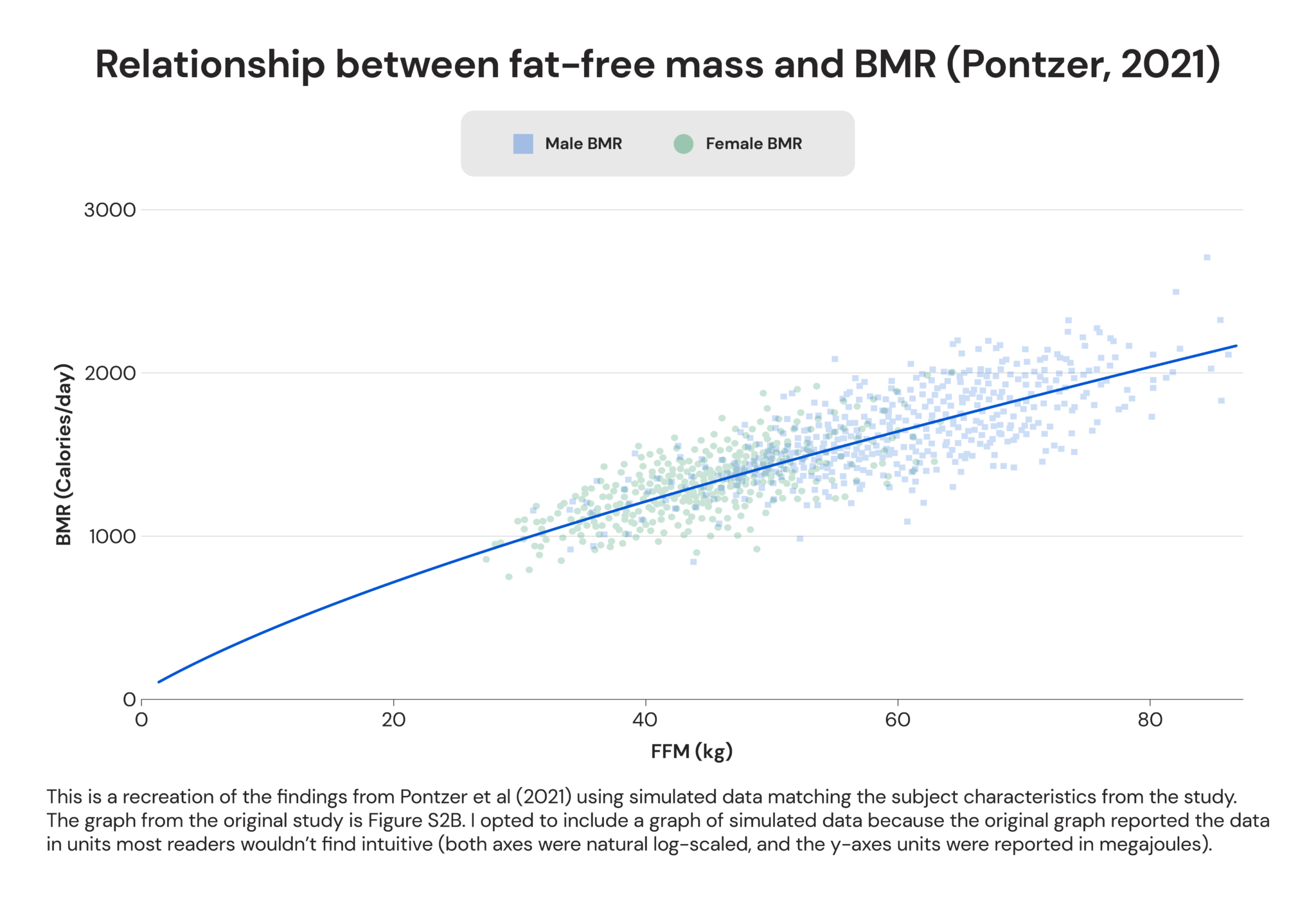 The Impact of Sex on Basal Metabolic Rate - MacroFactor