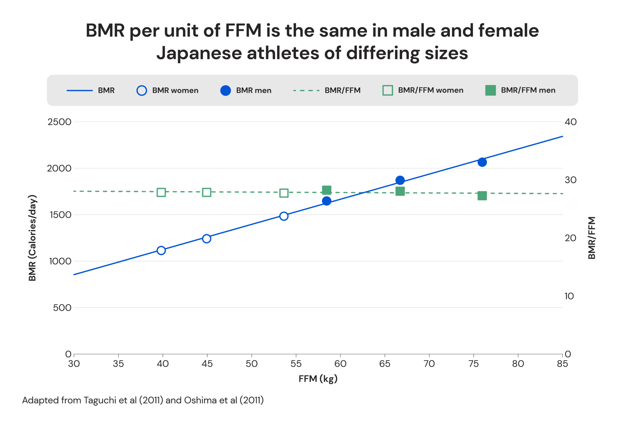How (and Why) Athletes' BMRs Differ from Non-Athletes - MacroFactor
