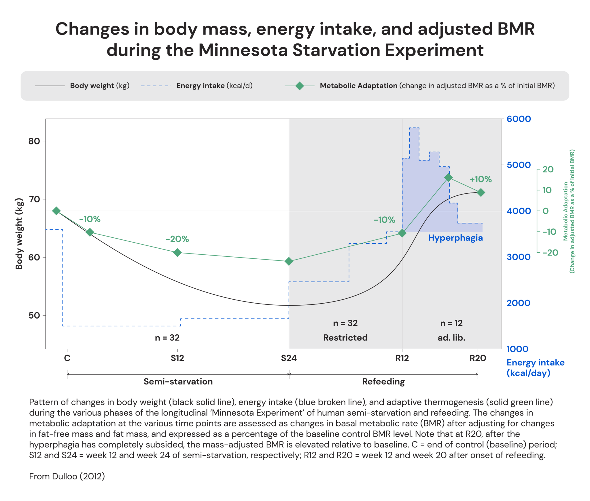 How Weight Loss Affects BMR - MacroFactor