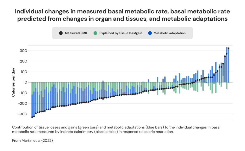 How Weight Loss Affects BMR - MacroFactor