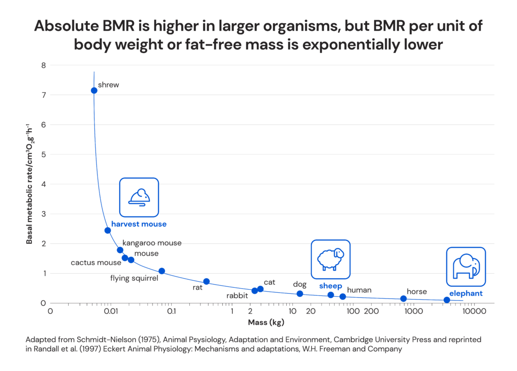 The Reasoning and Methodology Behind MacroFactor's New BMR Equations ...
