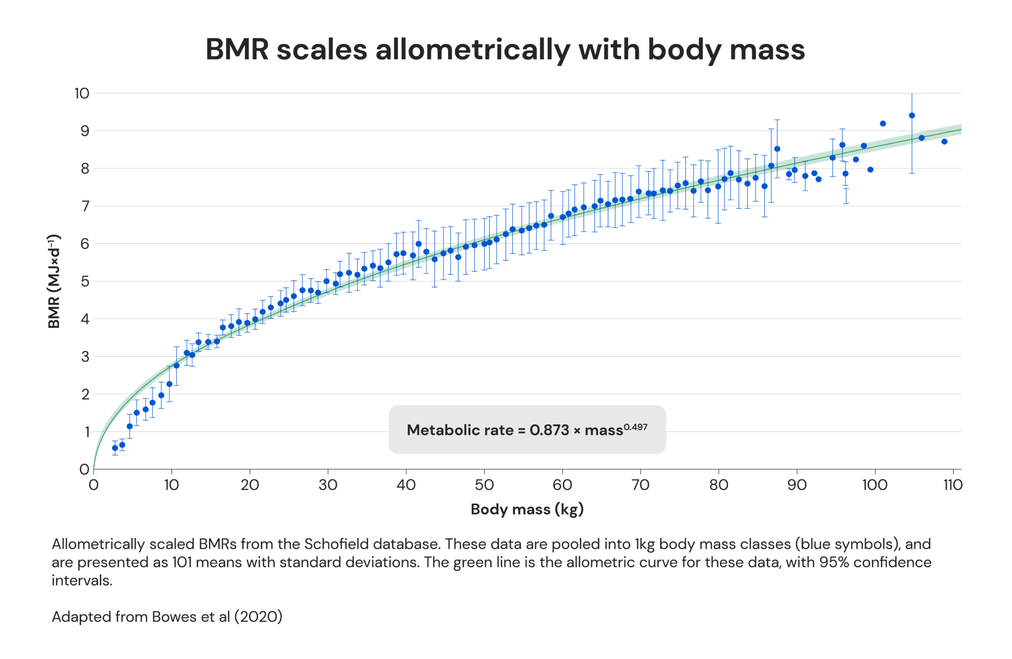 The Reasoning and Methodology Behind MacroFactor's New BMR Equations ...