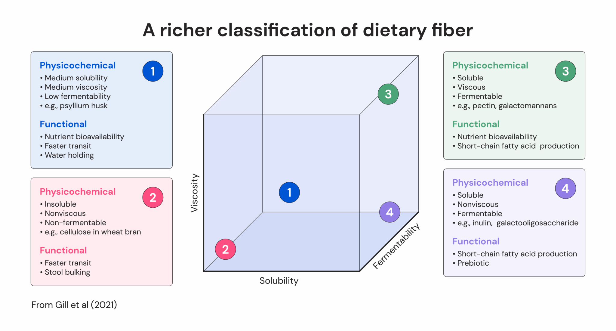 Fiber: Types, Benefits, and the Importance of Variety - MacroFactor