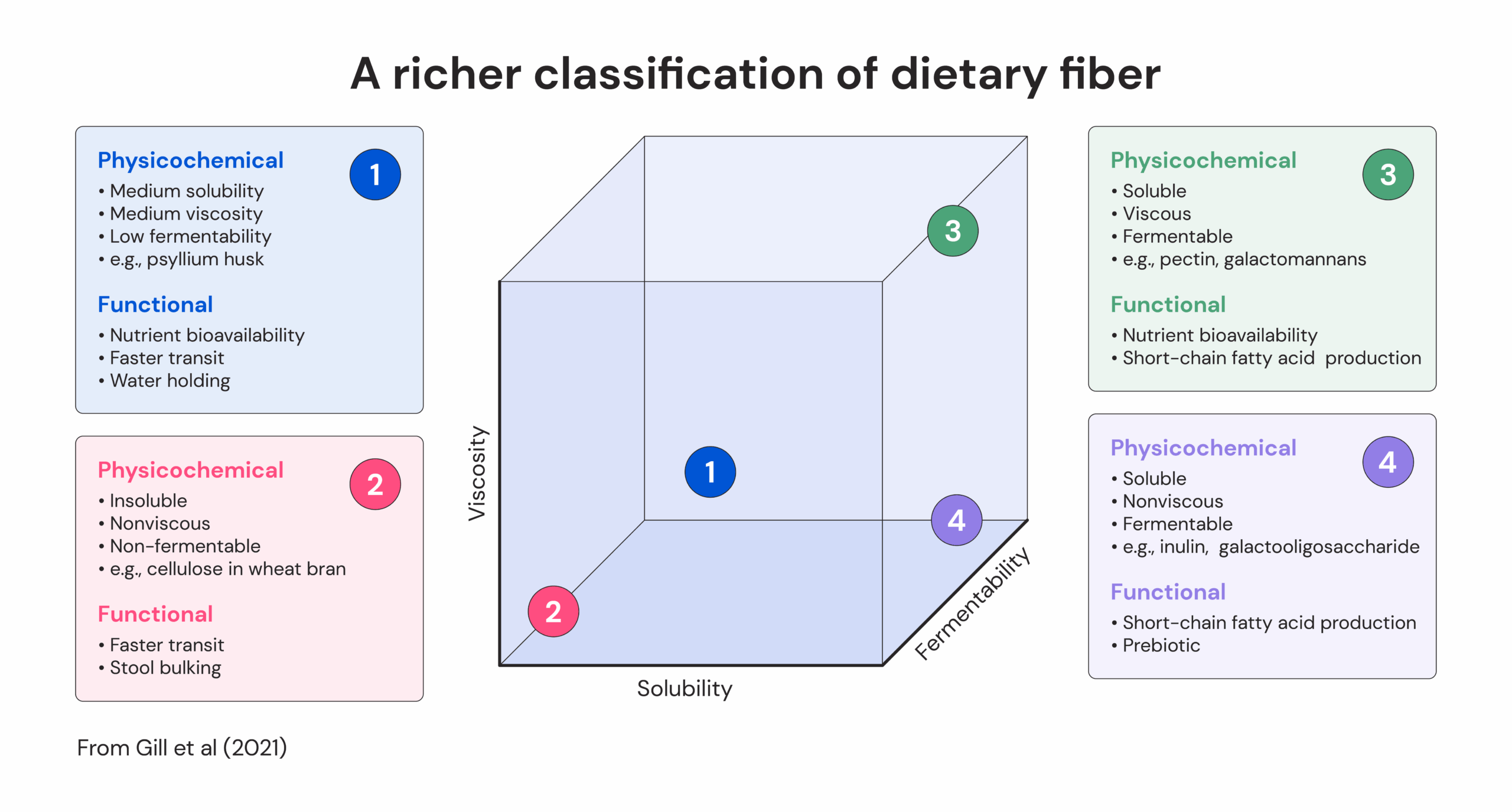 Fiber: Types, Benefits, and the Importance of Variety - MacroFactor