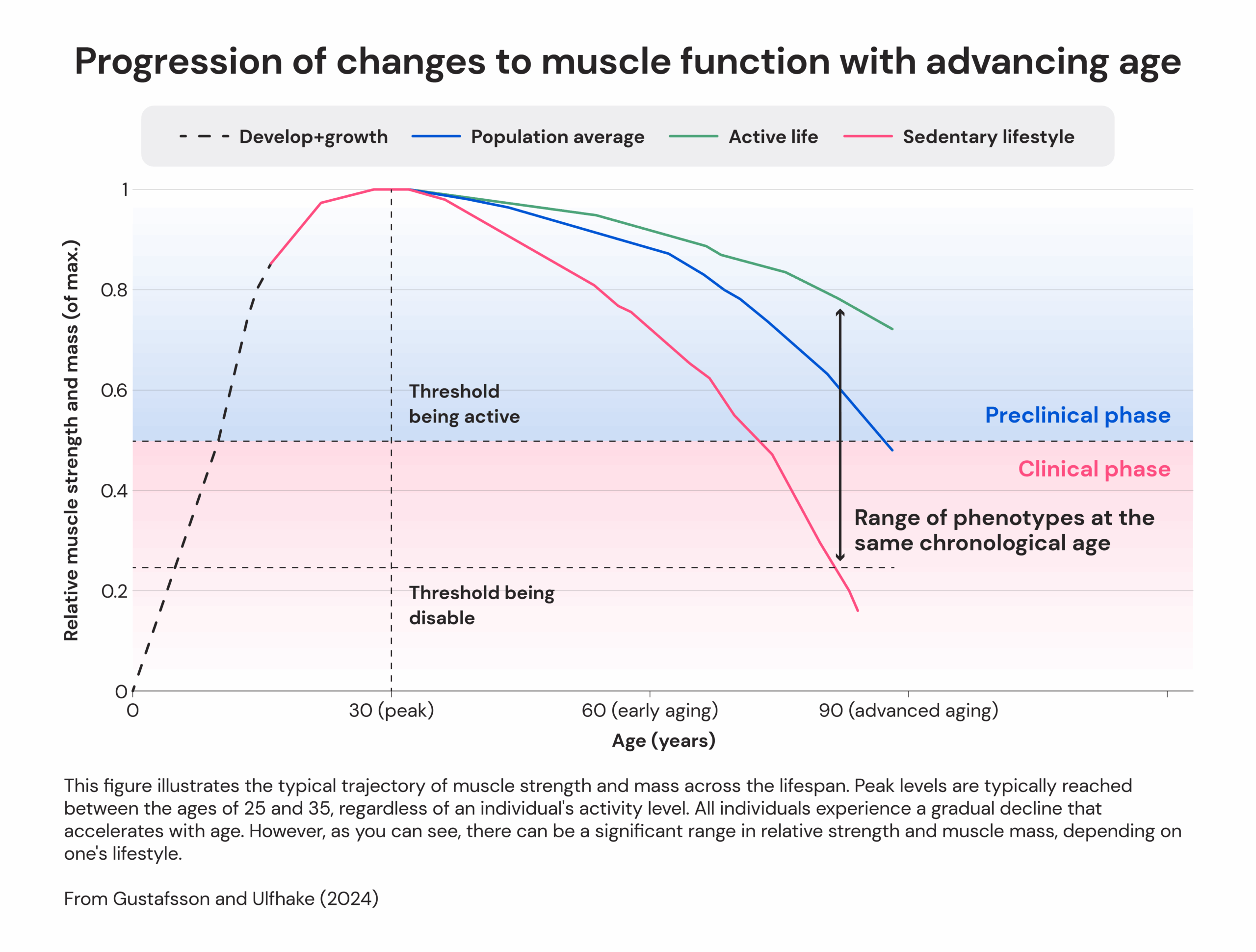 How Menopause Impacts Body Composition, Strength, and Performance ...